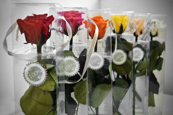 Floristería en Madrid 🏵️ Floristería Barrio del Pilar ️ Online